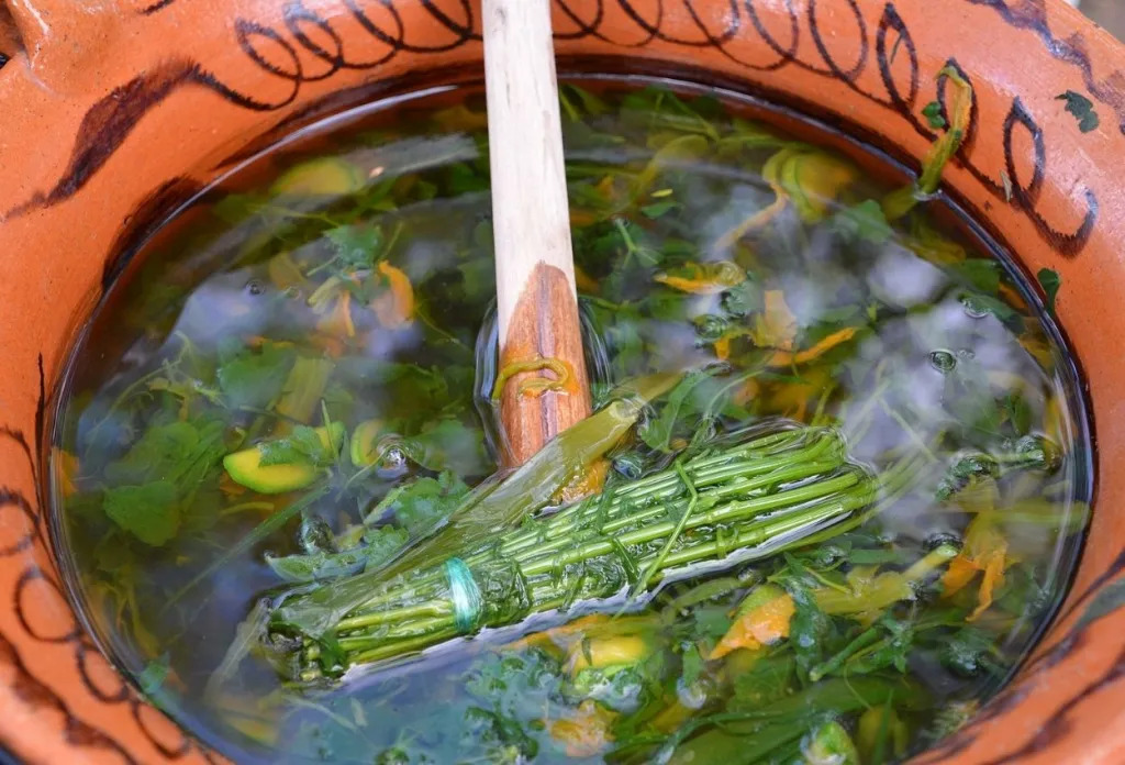 Chepiche: la hierba comestible de Oaxaca que tienes que conocer - Yahoo ...