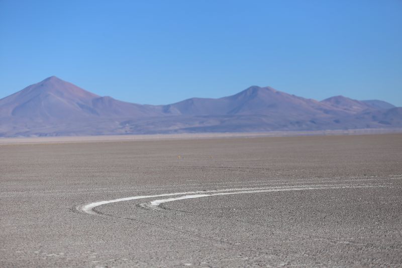 Arackar licanantay: Chile revela titanosaurio que habitó en norte del ...