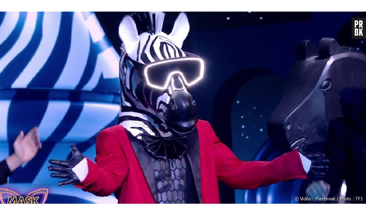 Mask Singer 2023 : le Zèbre éliminé et démasqué... Les internautes sont ...