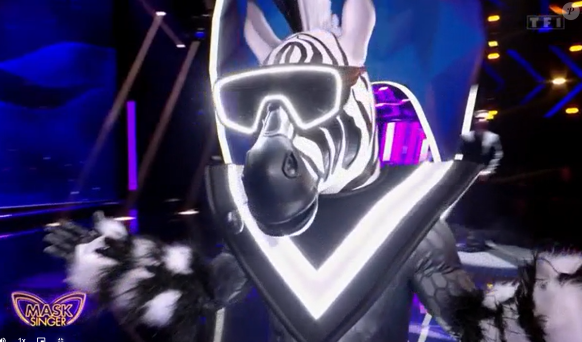 Mask Singer 5 - Le zèbre : Gros mystère sur son identité et ...