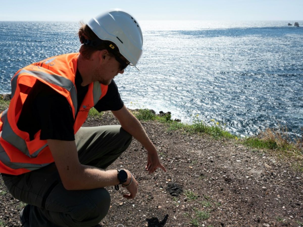 Contaminées par l'industrie pendant deux siècles, des Calanques de Marseille bientôt dépolluées ...