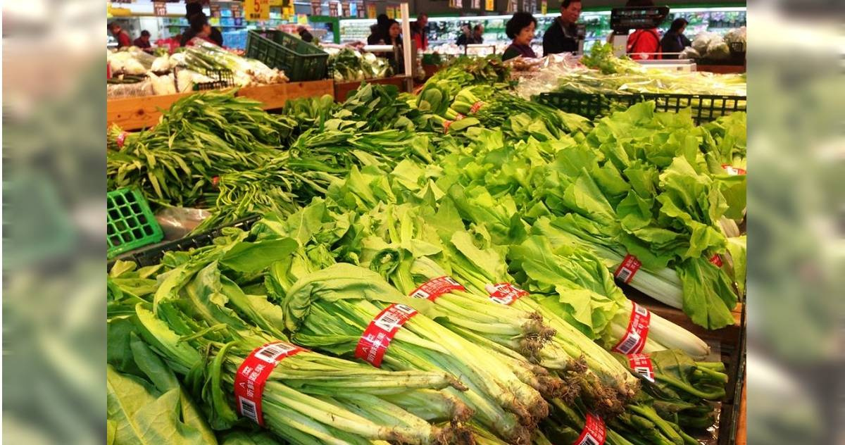 8月CPI「受颱風災損影響」增至1.6％ 主計總處估9月通膨將縮小