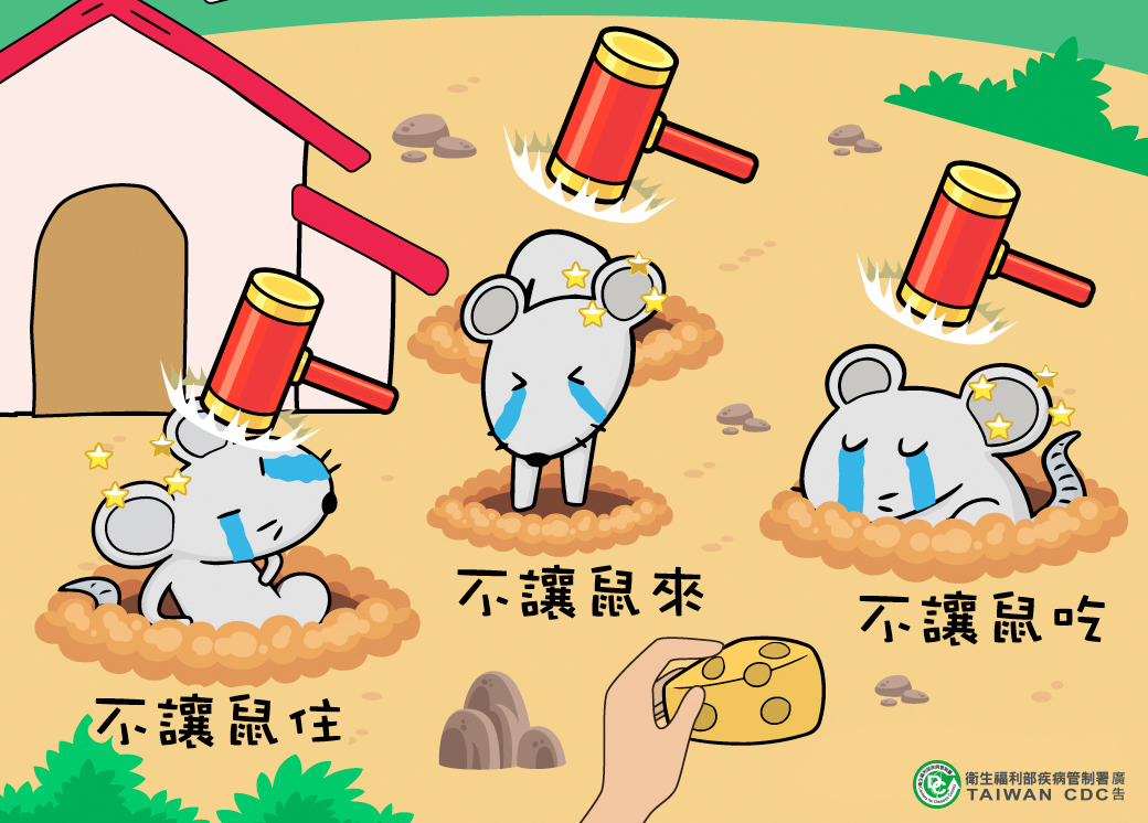 Preventing Hantavirus: Don't Let Rats Take Over After the Typhoon ...