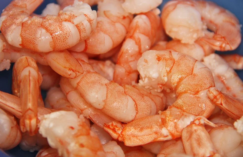 蝦子、蛤蜊怎麼挑？譚敦慈教海鮮採買技巧「這樣吐沙」快又乾淨