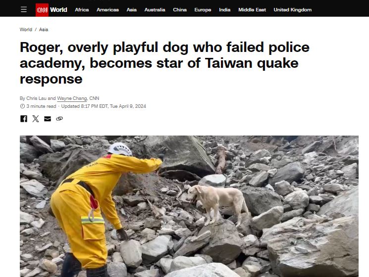 7.2強震救災立大功！台灣搜救犬Roger「登上CNN首頁」